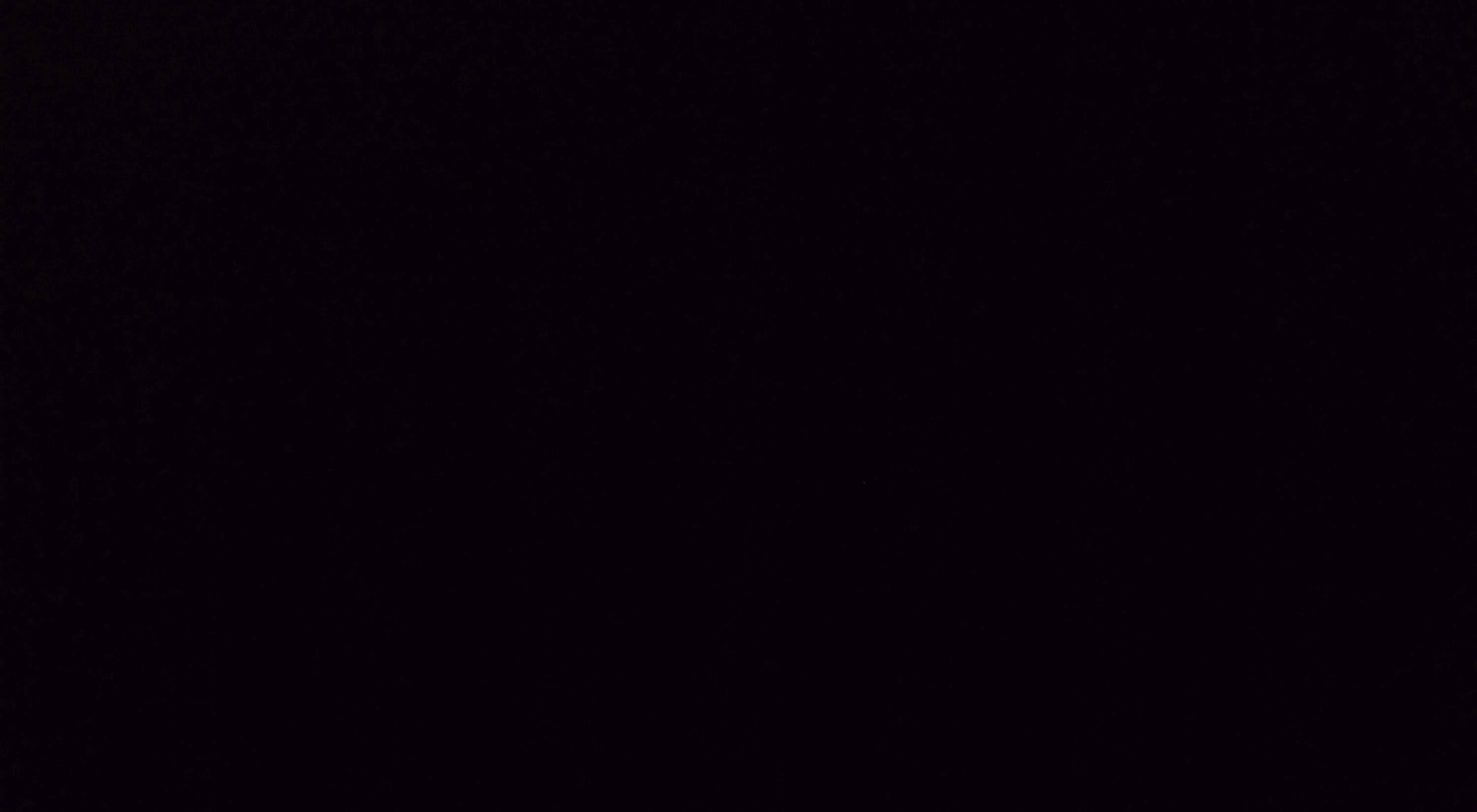 CarWash Application Dashboard